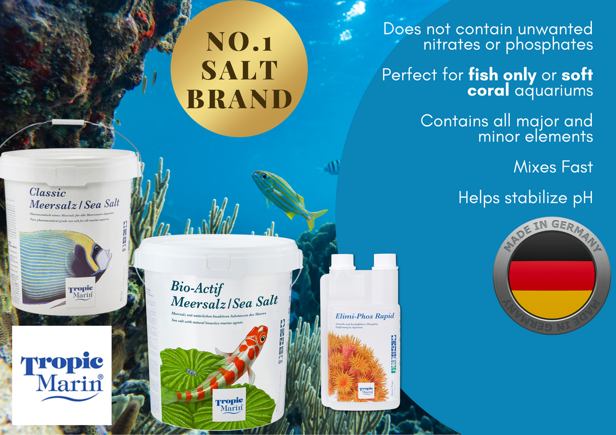 Tropic Marine Fans! – Specialised Aquatics