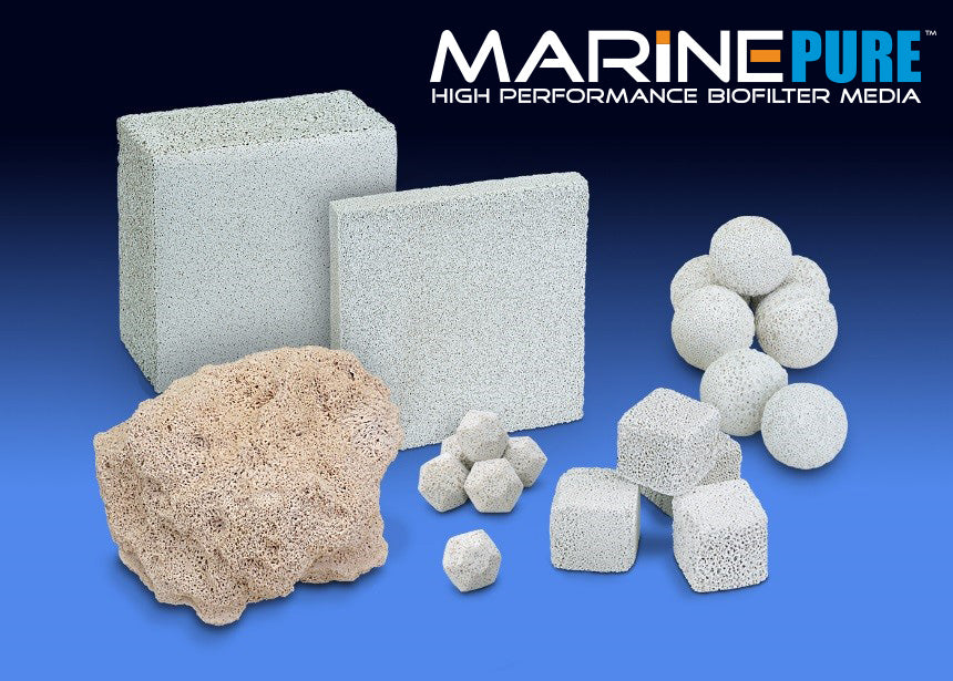 Marine Pure – Specialised Aquatics