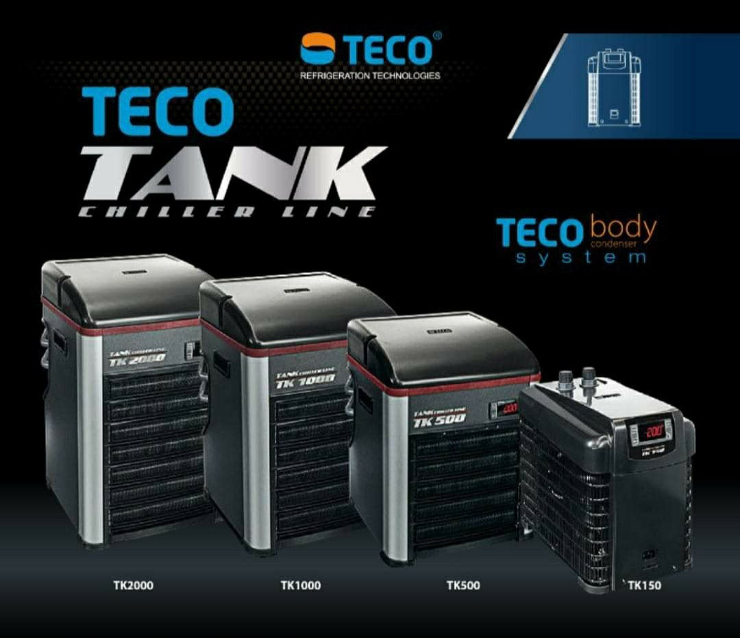 Teco – Specialised Aquatics