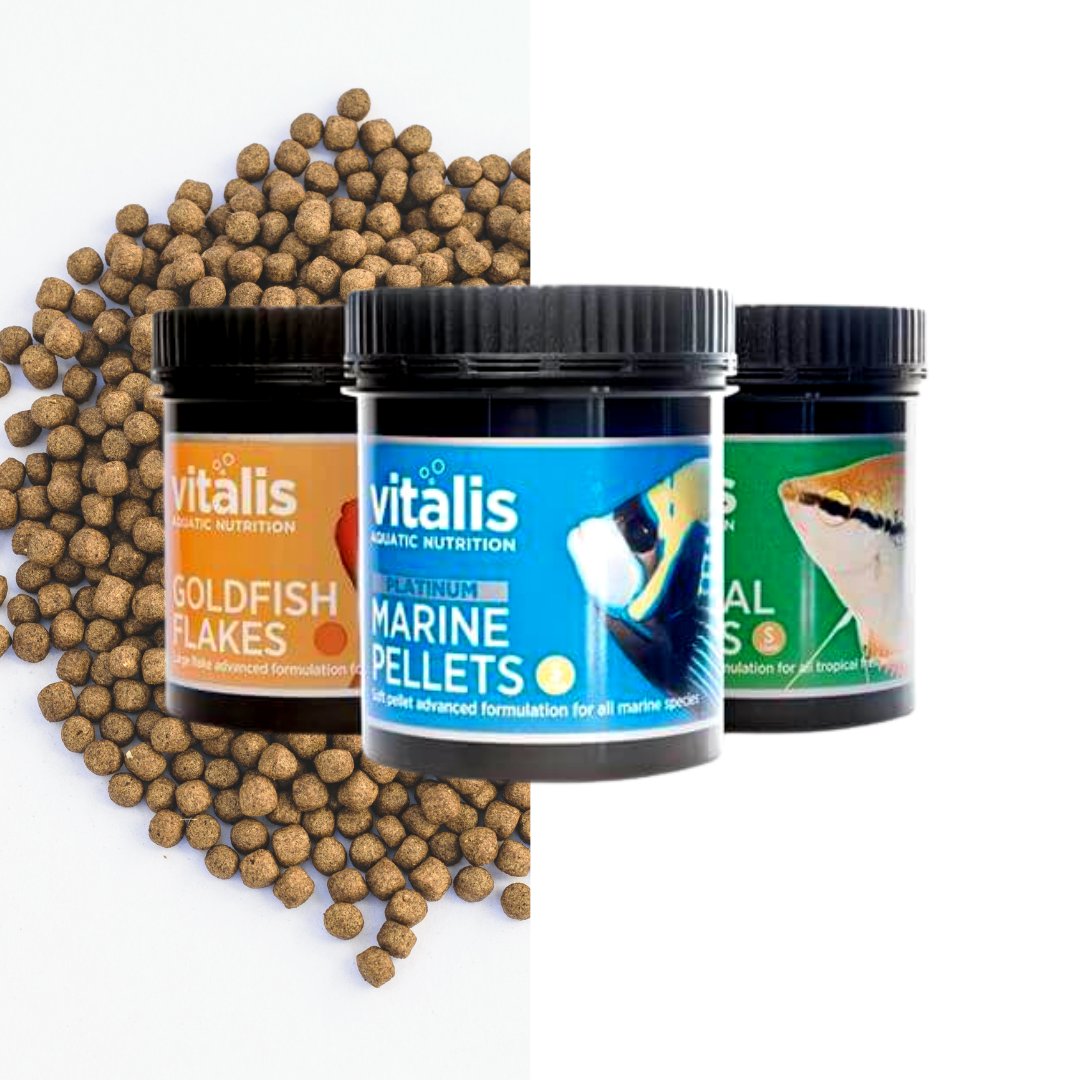Fish Food and Supplements – Specialised Aquatics