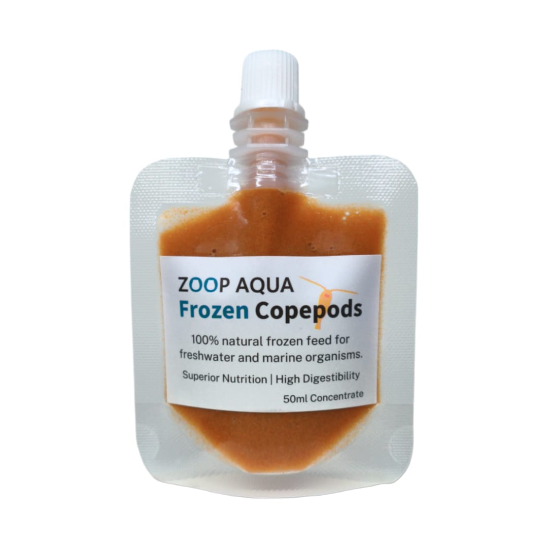 Zoop Aqua Frozen Copepods 50ml – Specialised Aquatics