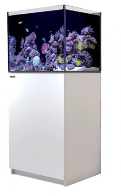 Red Sea G2 Reefer 170 Complete System – Specialised Aquatics