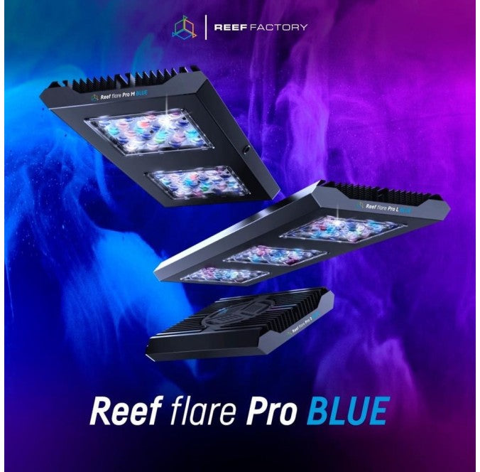 Reef Factory Flare Pro Blue – Specialised Aquatics